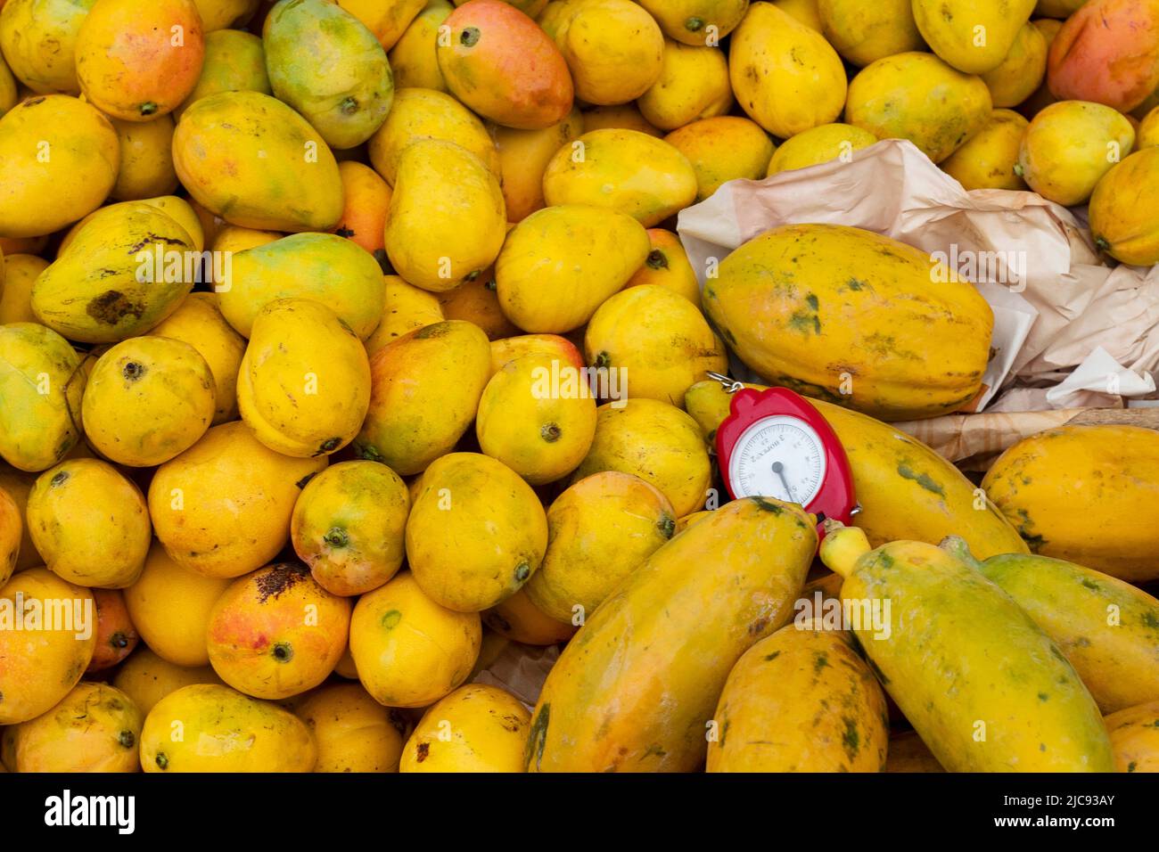 fruit mango - Delicious Mangifera indica Stock Photo - Alamy