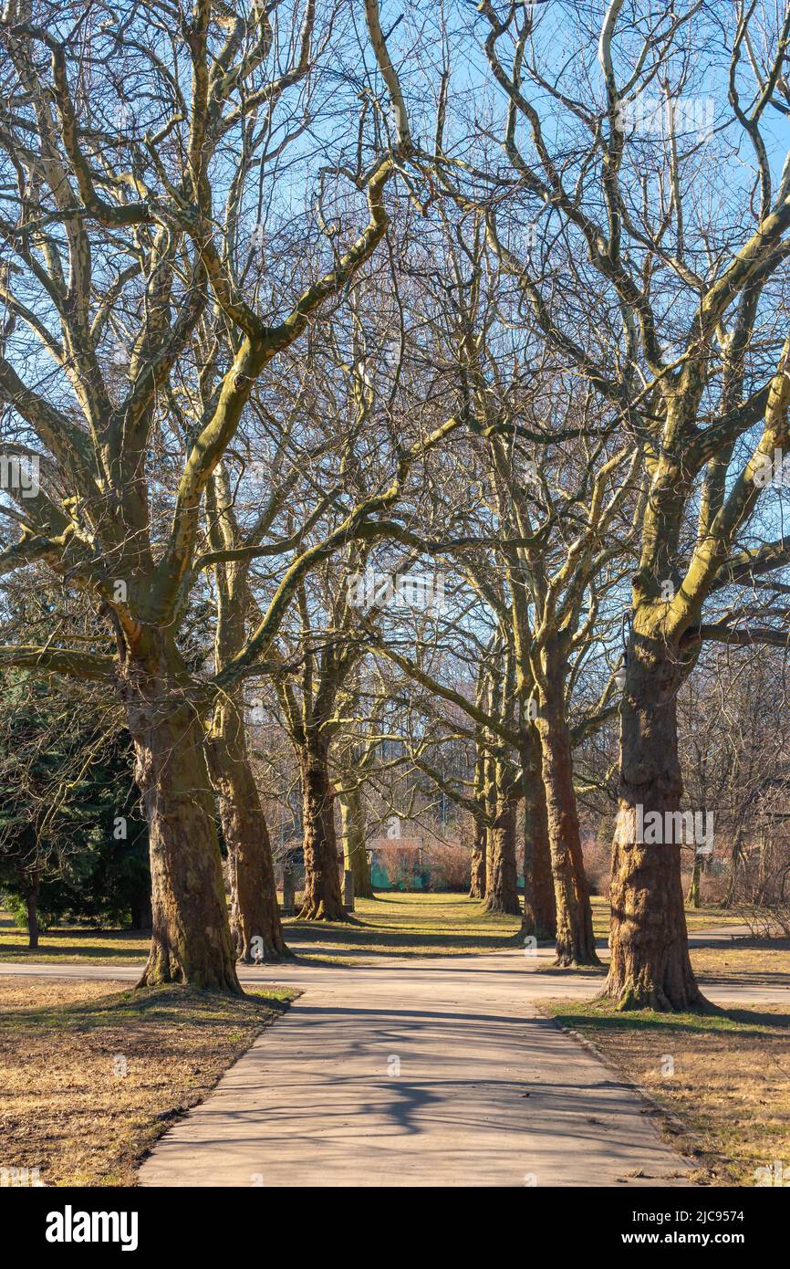 Gdanske hi-res stock photography and images - Alamy