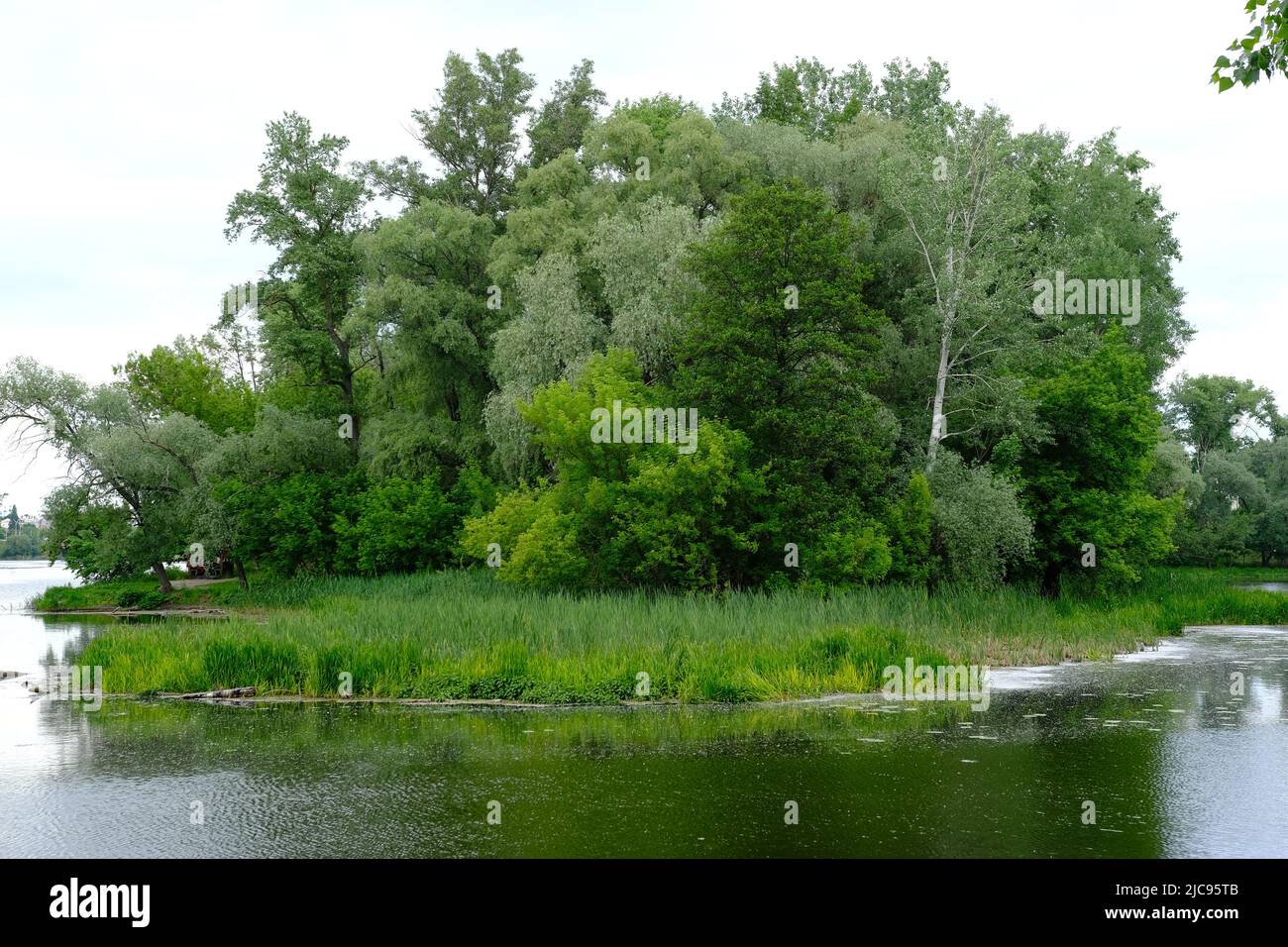 Ukraine, Sumy panoramic view on the river and forest Stock Photo - Alamy