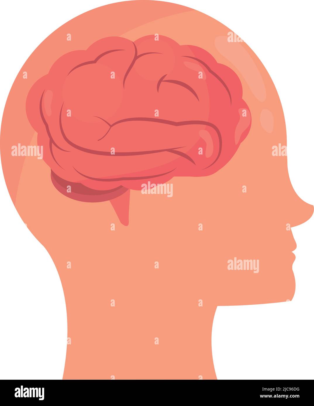 Huma brain Stock Vector Images - Alamy