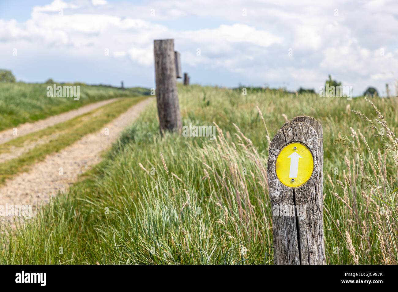 Hiking trail sign, yellow plaque with a white arrow pointing the way ...