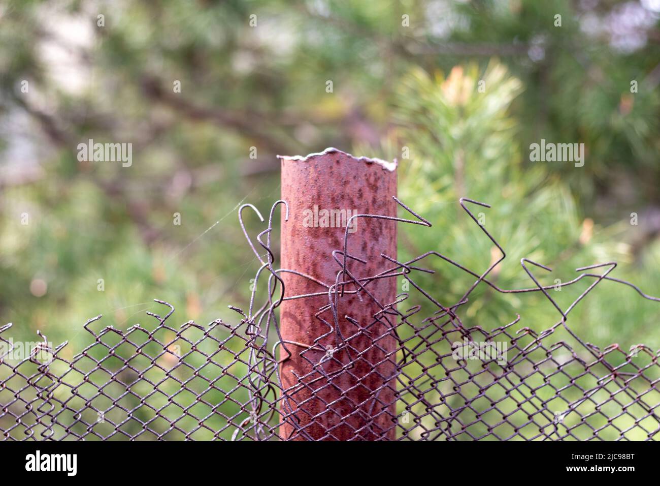 Mesh old ragged cage in the garden and a rusty pole with green grass as ...