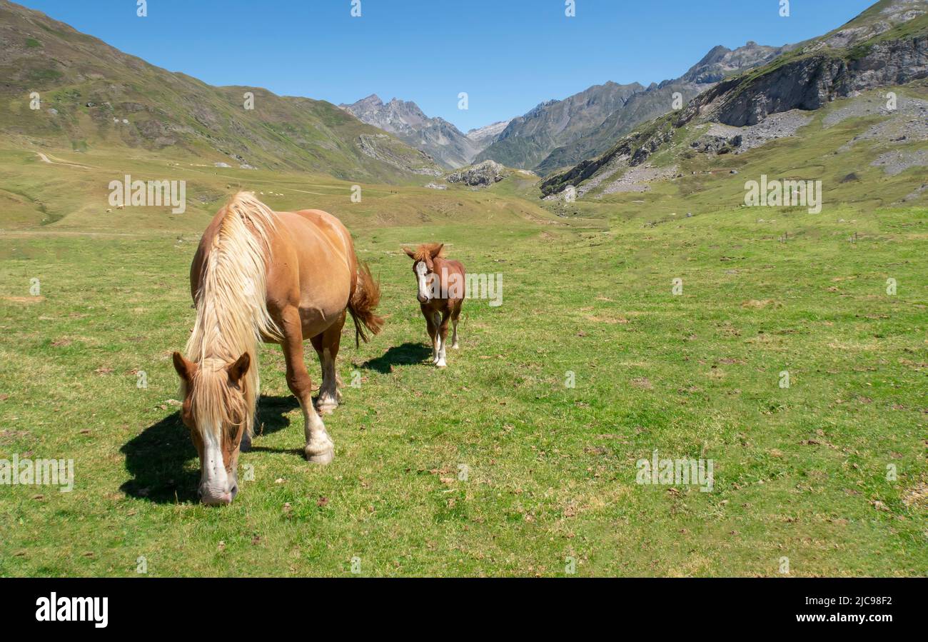 Laruns hi-res stock photography and images - Alamy