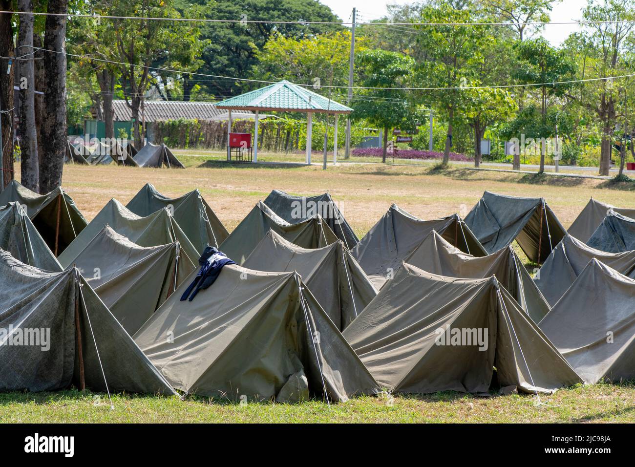Scout tent in forest camp Stock Photo - Alamy
