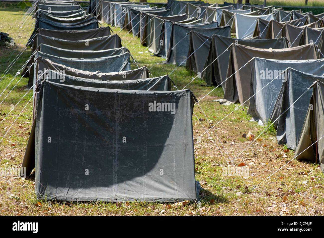Scout tent in forest camp Stock Photo - Alamy