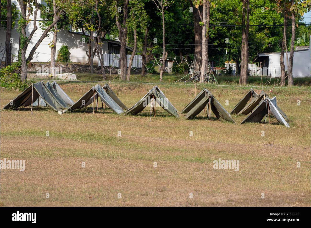 Scout tent in forest camp Stock Photo - Alamy