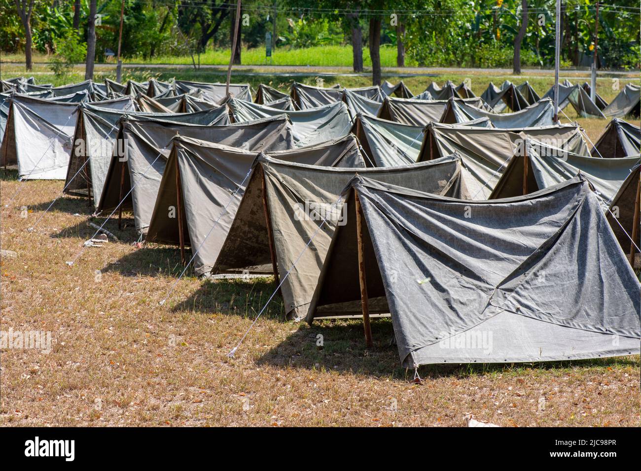 Scout tent in forest camp Stock Photo - Alamy