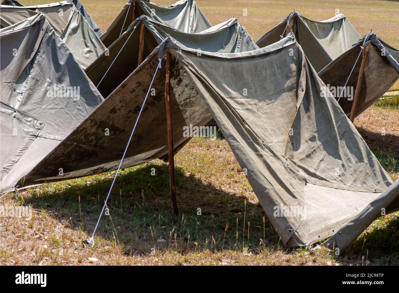 Scout tent in forest camp Stock Photo - Alamy