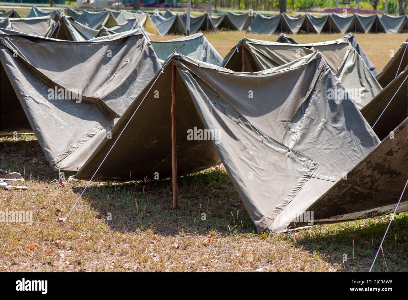 Scout tent in forest camp Stock Photo - Alamy