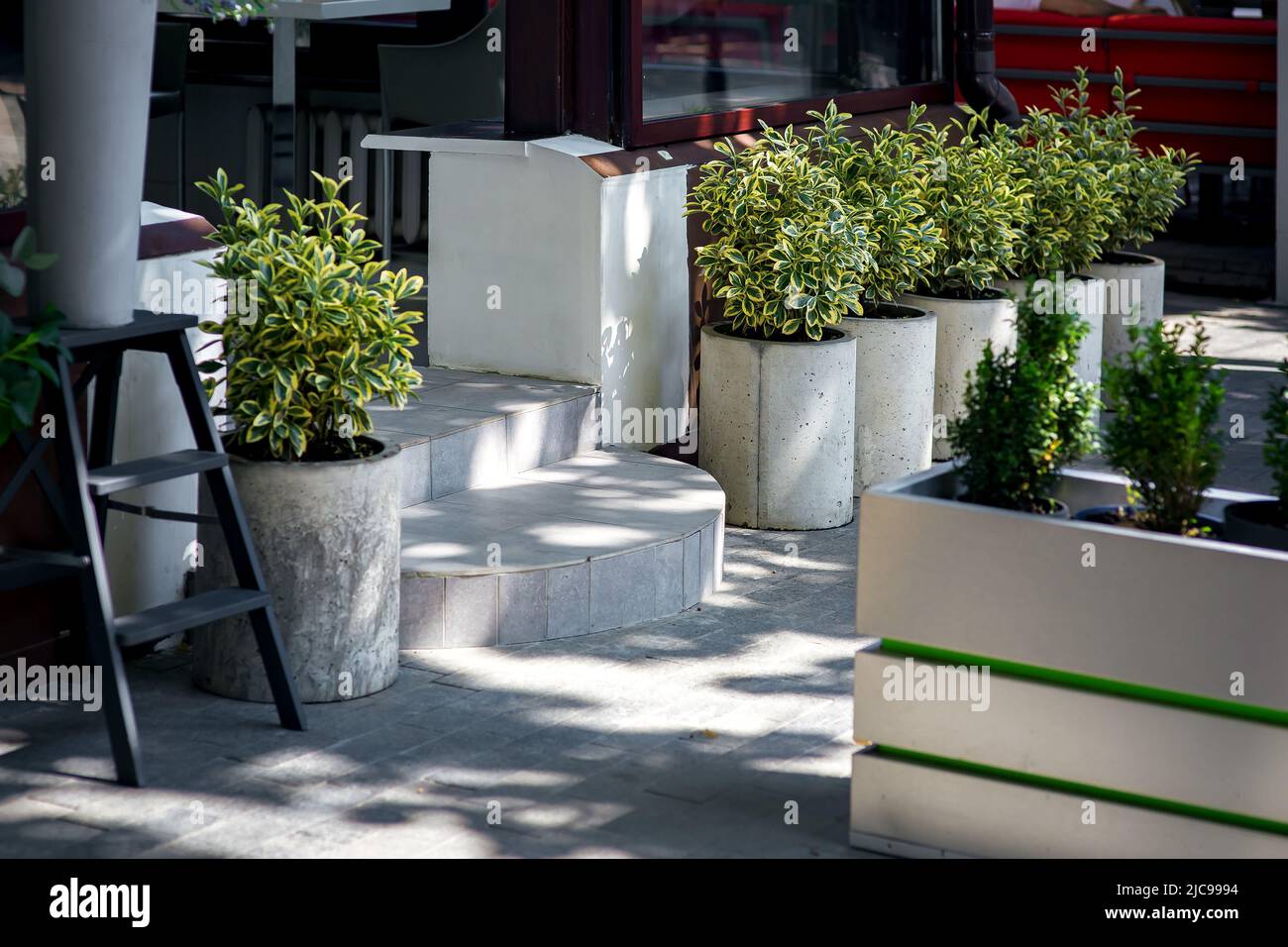 ceramic tiled entrance doorstep shop entrance with concrete flower pots ...