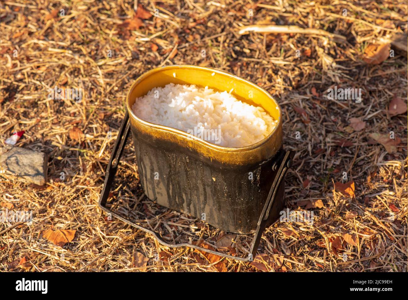 Camping and cooking food on vacation of children in rural areas Stock ...