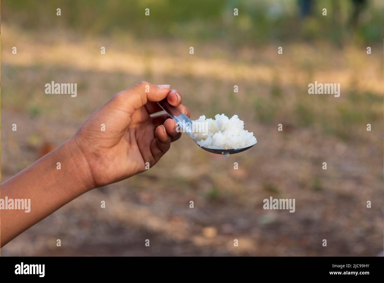 Camping and cooking food on vacation of children in rural areas Stock ...