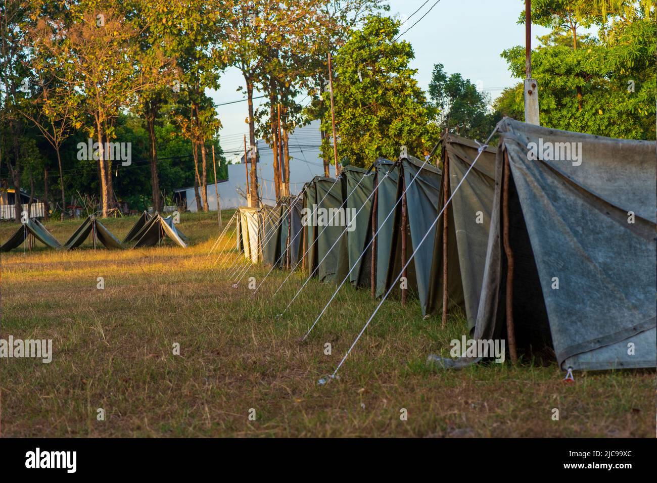 Scout tent in forest camp Stock Photo - Alamy