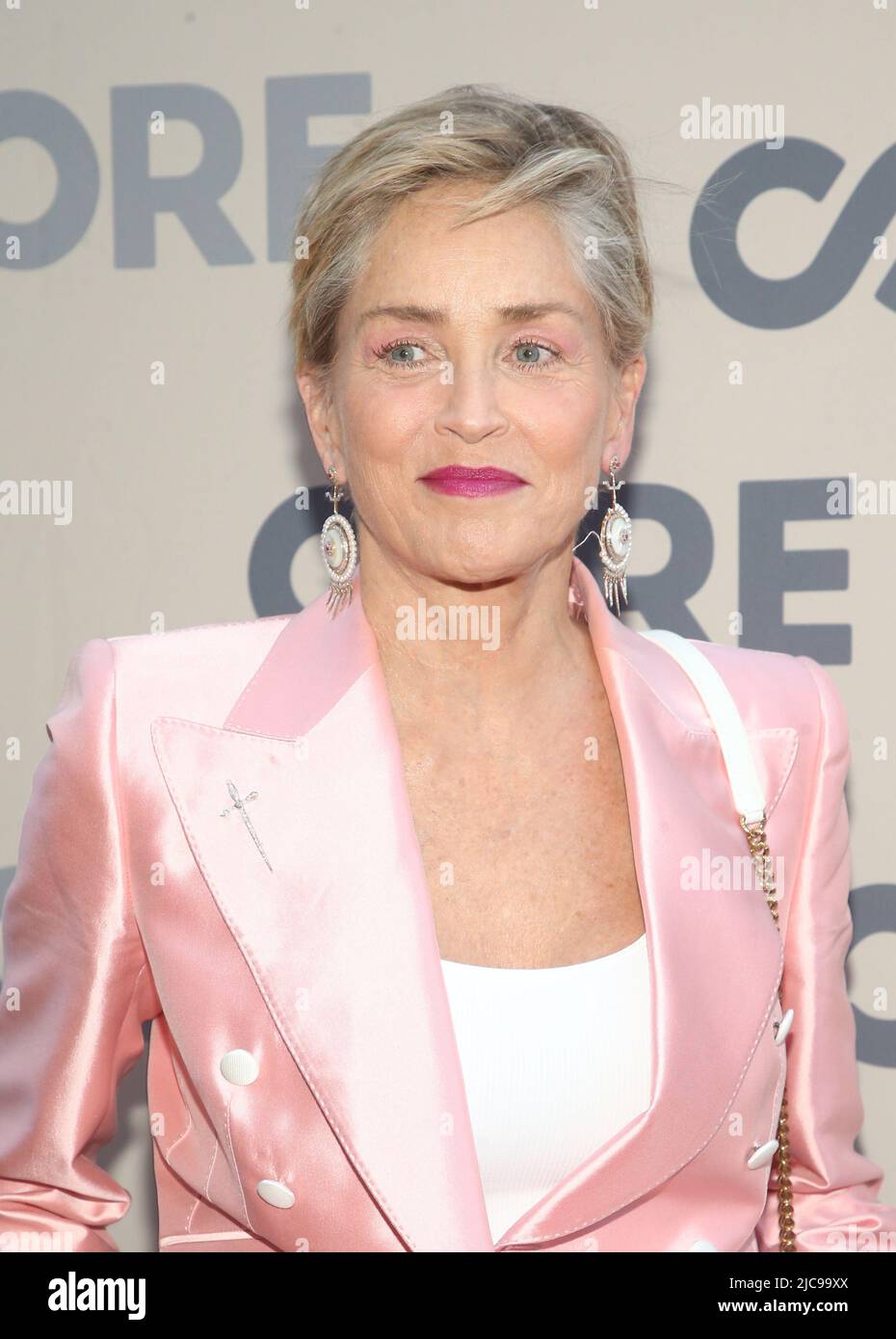 10 June 2022 - Hollywood, California - Sharon Stone, the 2022 CORE Gala ...