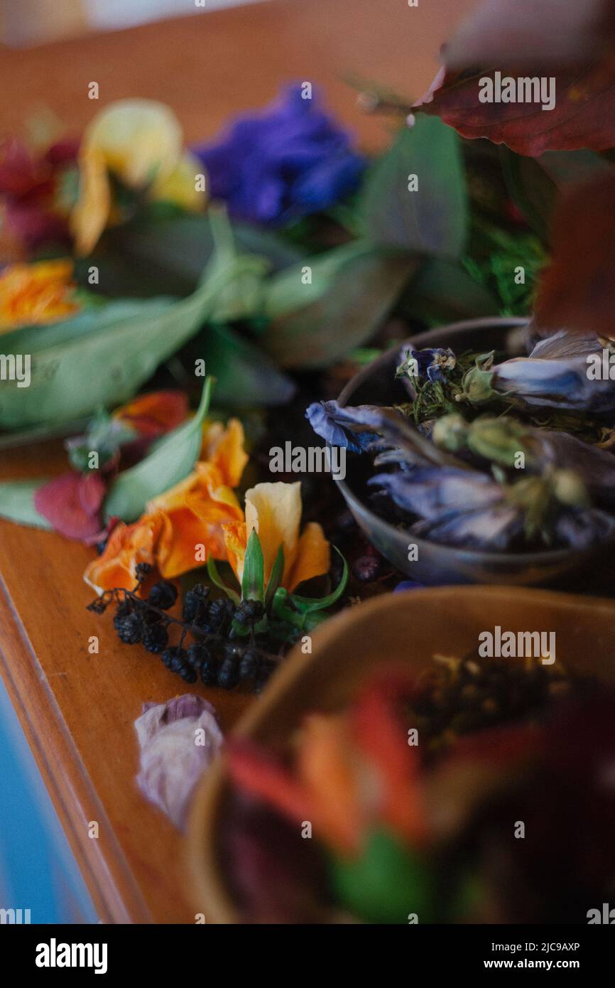 Foraged nature hi-res stock photography and images - Alamy