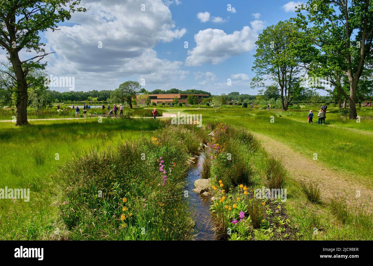 Chinese Streamside Garden at RHS Bridgewater, Worsley, Manchester Stock ...