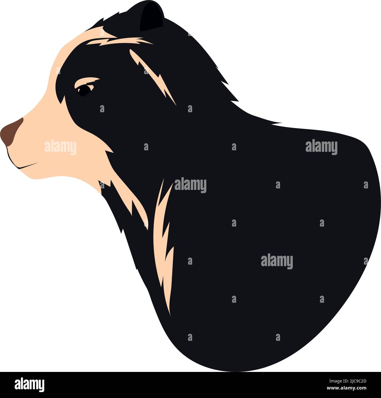 spectacled bear cartoon Stock Vector Image & Art - Alamy
