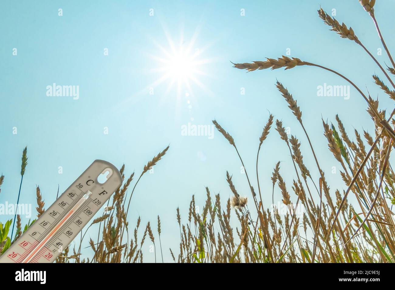 The thermometer is on the field. Summer, drought. High air temperature ...
