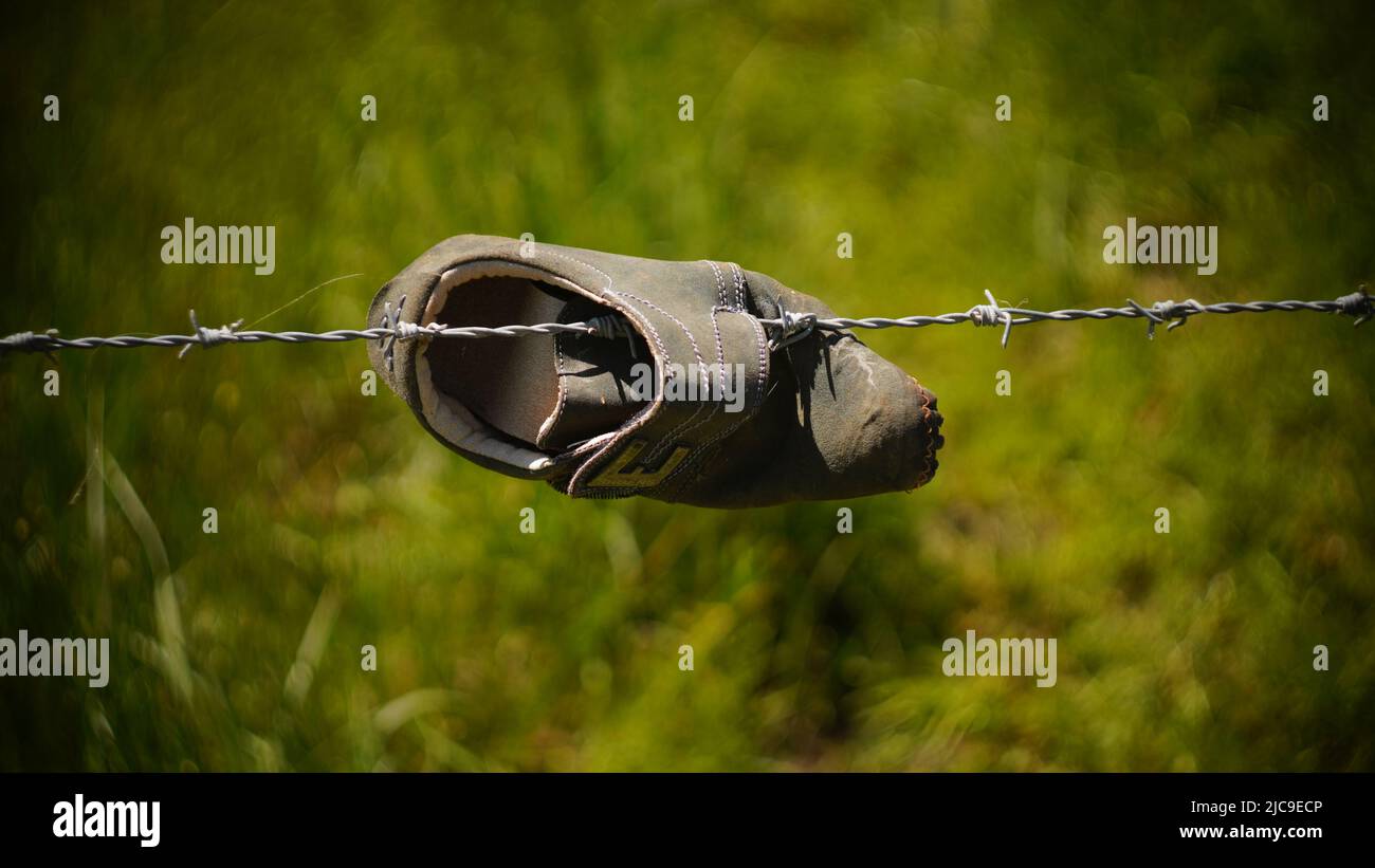 Shoe hanging on barbed wire Stock Photo - Alamy