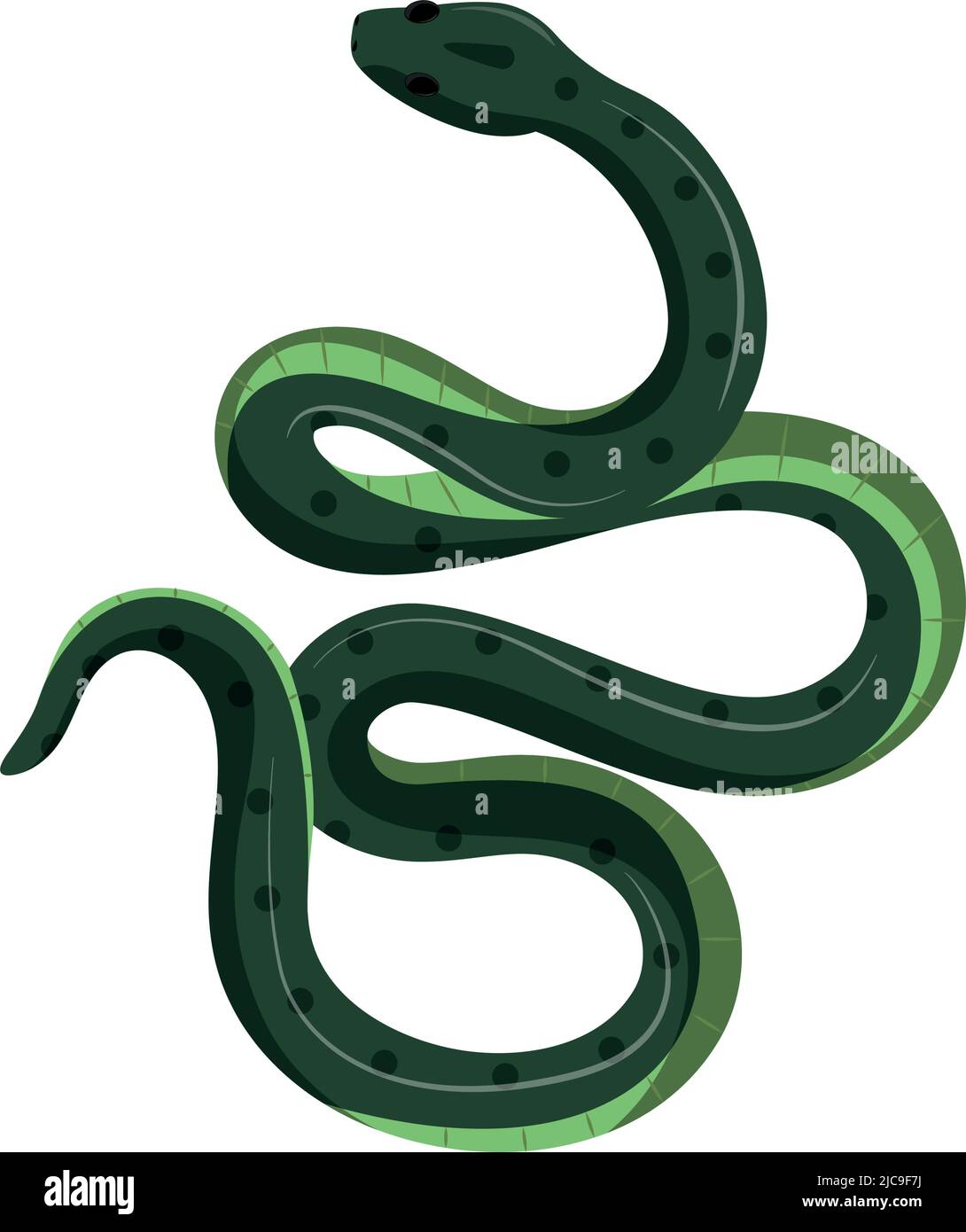 Green snake scales Stock Vector Images - Alamy