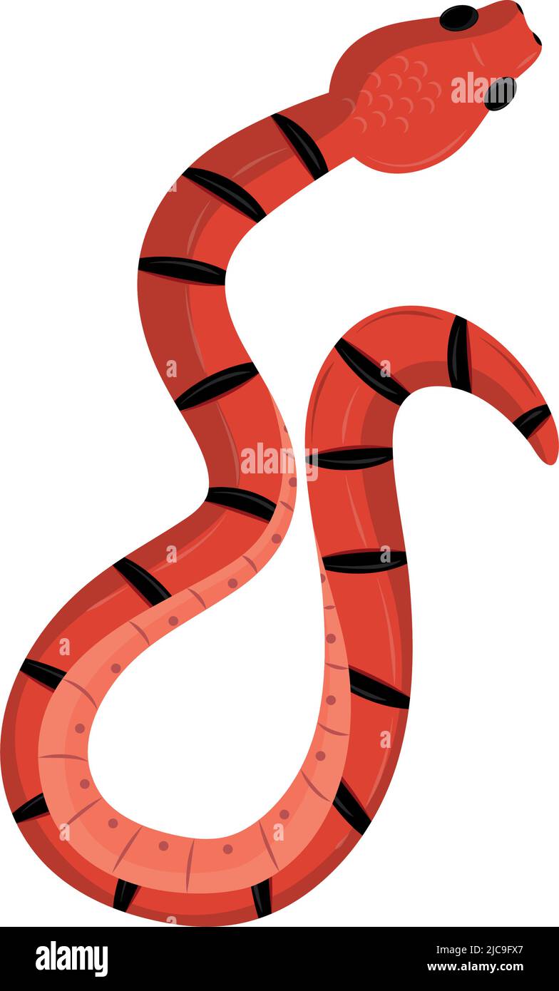 snake on white background Stock Vector Image & Art - Alamy