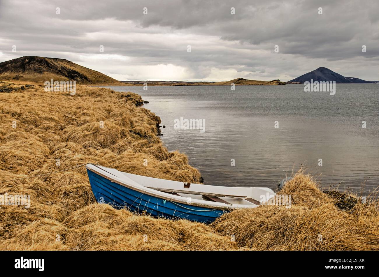 Simple blue and white rowing boat on a grassy shore of lake Myvatn in ...