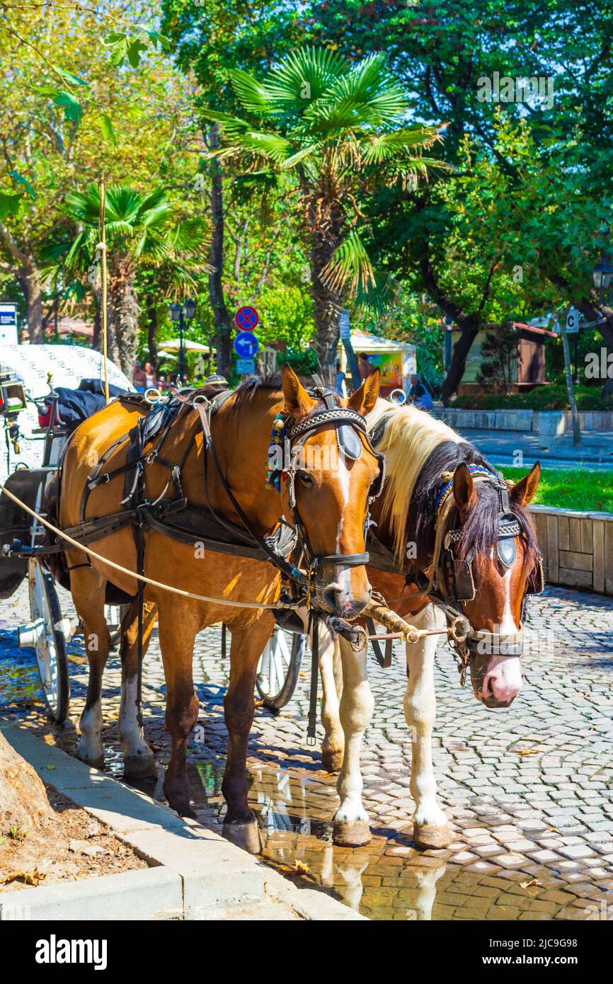View of Sozopol streets.Sozopol is an ancient seaside town and resort ...