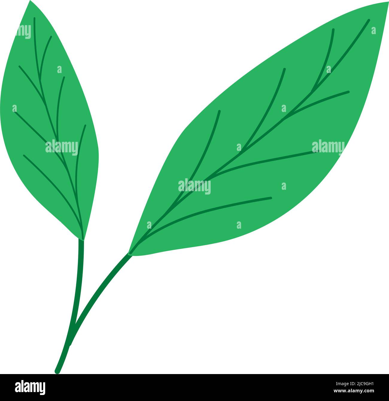 two leaf design Stock Vector Image & Art - Alamy