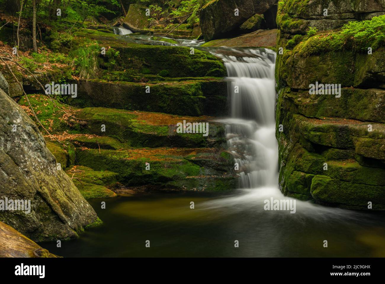 Jedlova creek in Jizerske mountains in spring cloudy morning Stock ...