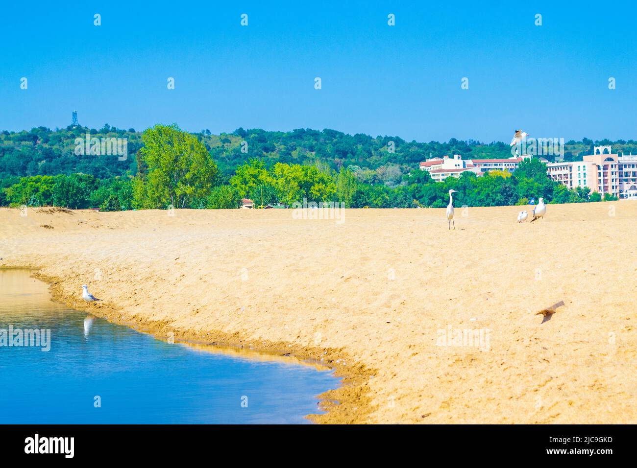 View of Drivers' Beach-about 3 km long beach from Duni resort to St ...