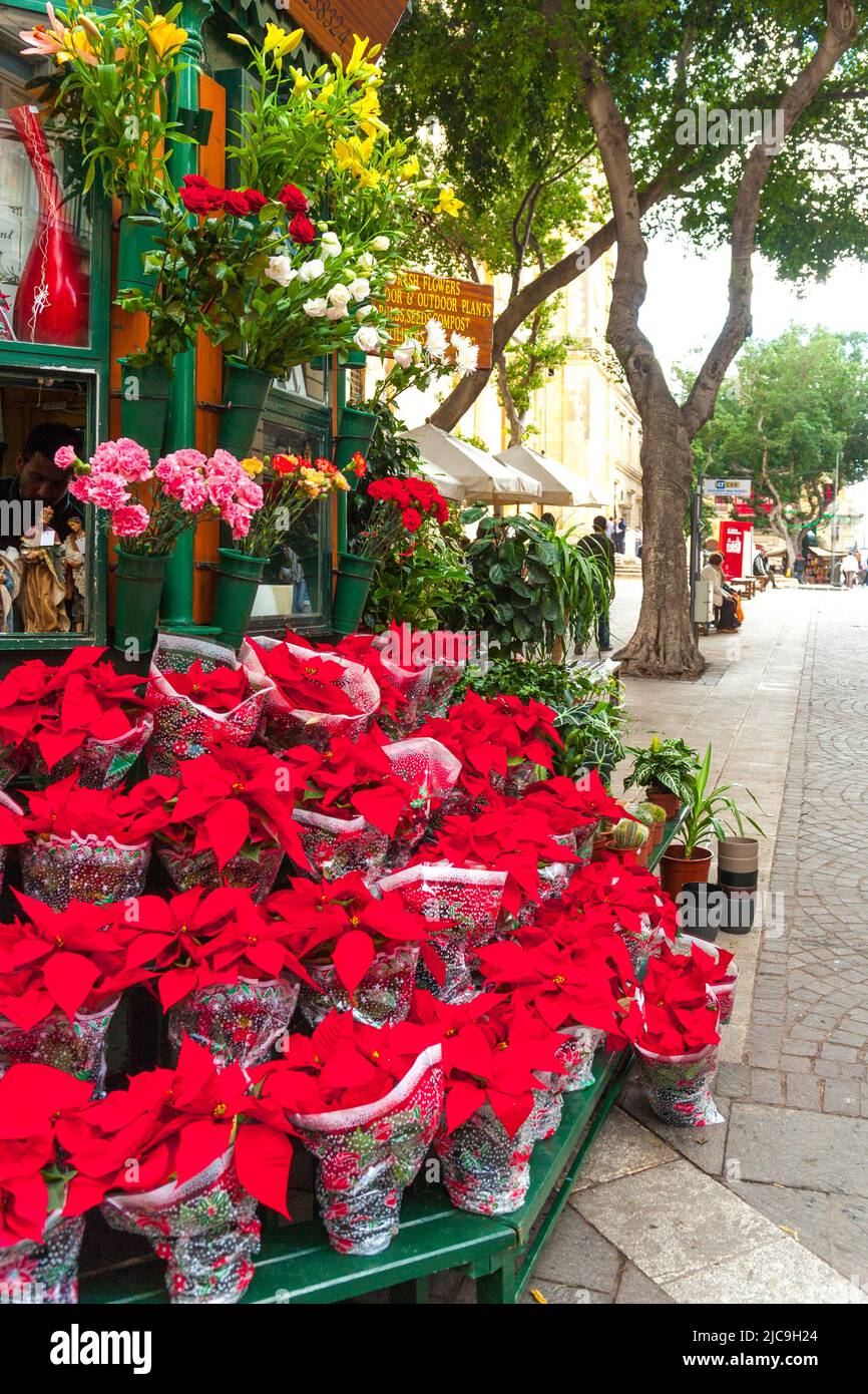 Florist Street Display Valletta, Flower stall, Valletta street Scene ...