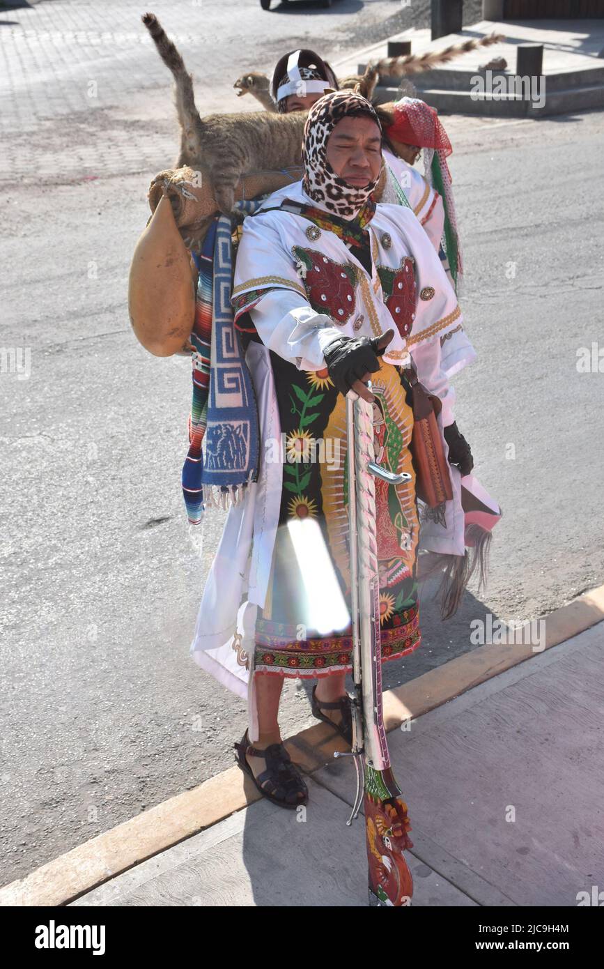 Participants in traditional costumes posing during Carnaval in ...