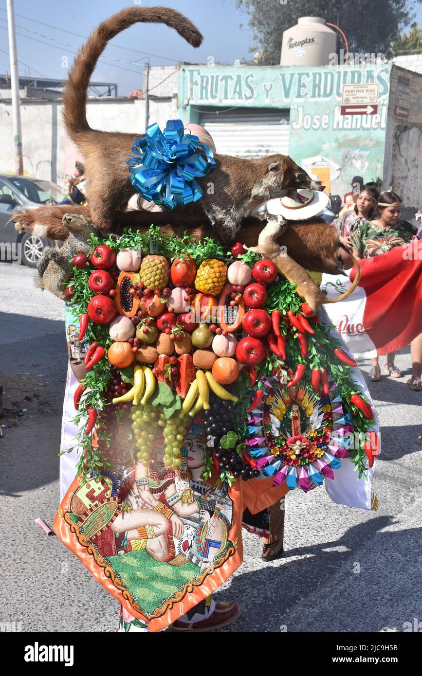 Participants in traditional costumes posing during Carnaval in ...