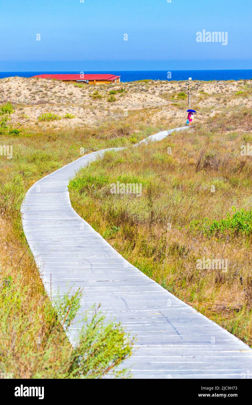 Wooden alley on sand dunes leading to rhe beach, Bulgarian Black Sea ...