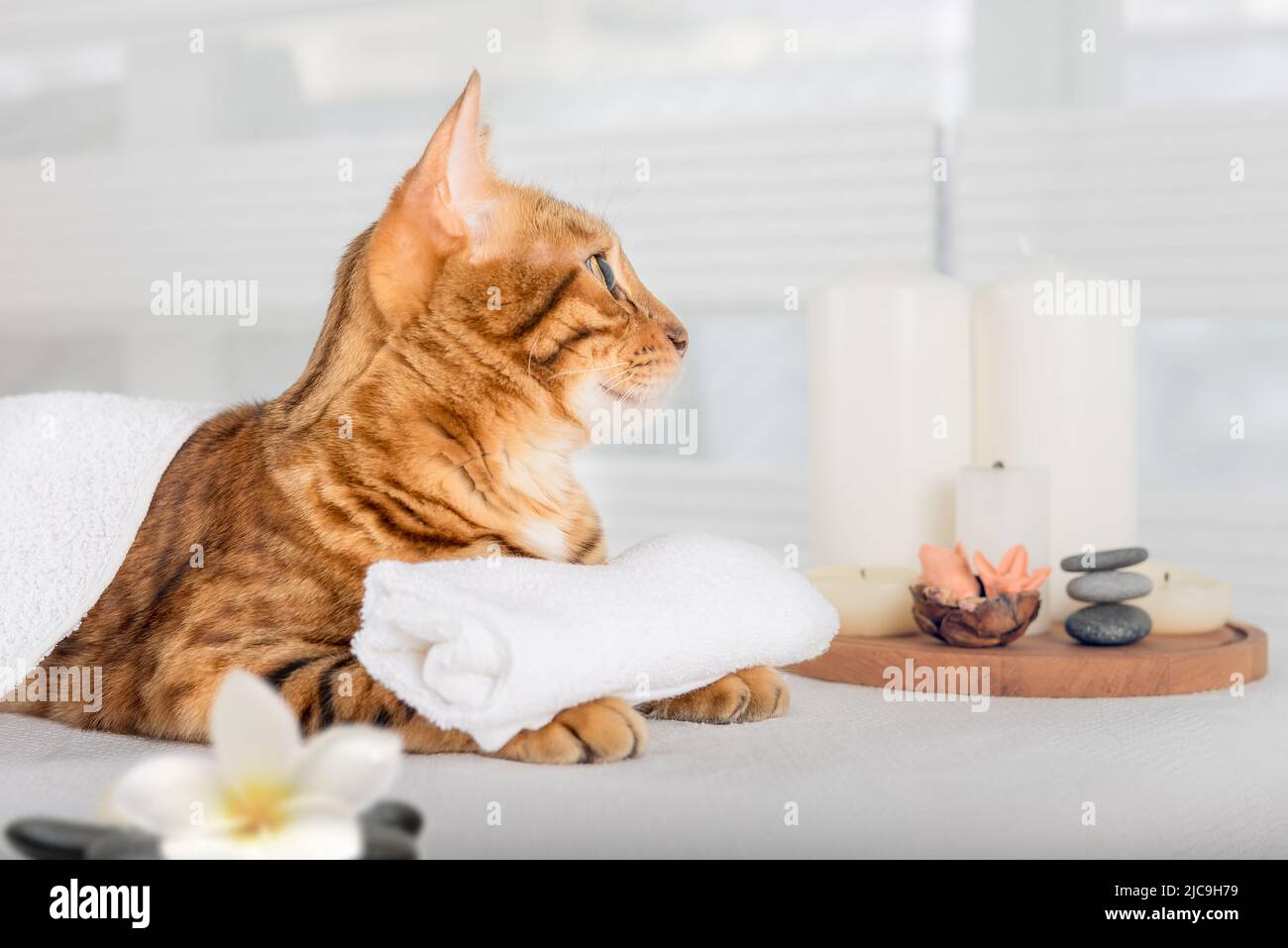 Wellness center hi-res stock photography and images - Alamy
