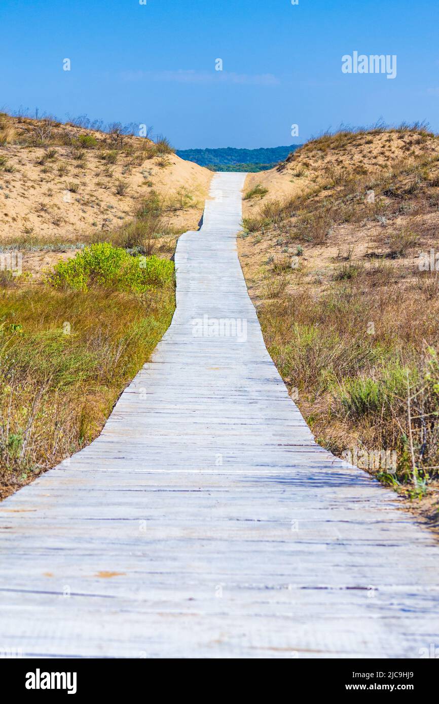 Wooden alley on sand dunes leading to rhe beach, Bulgarian Black Sea ...