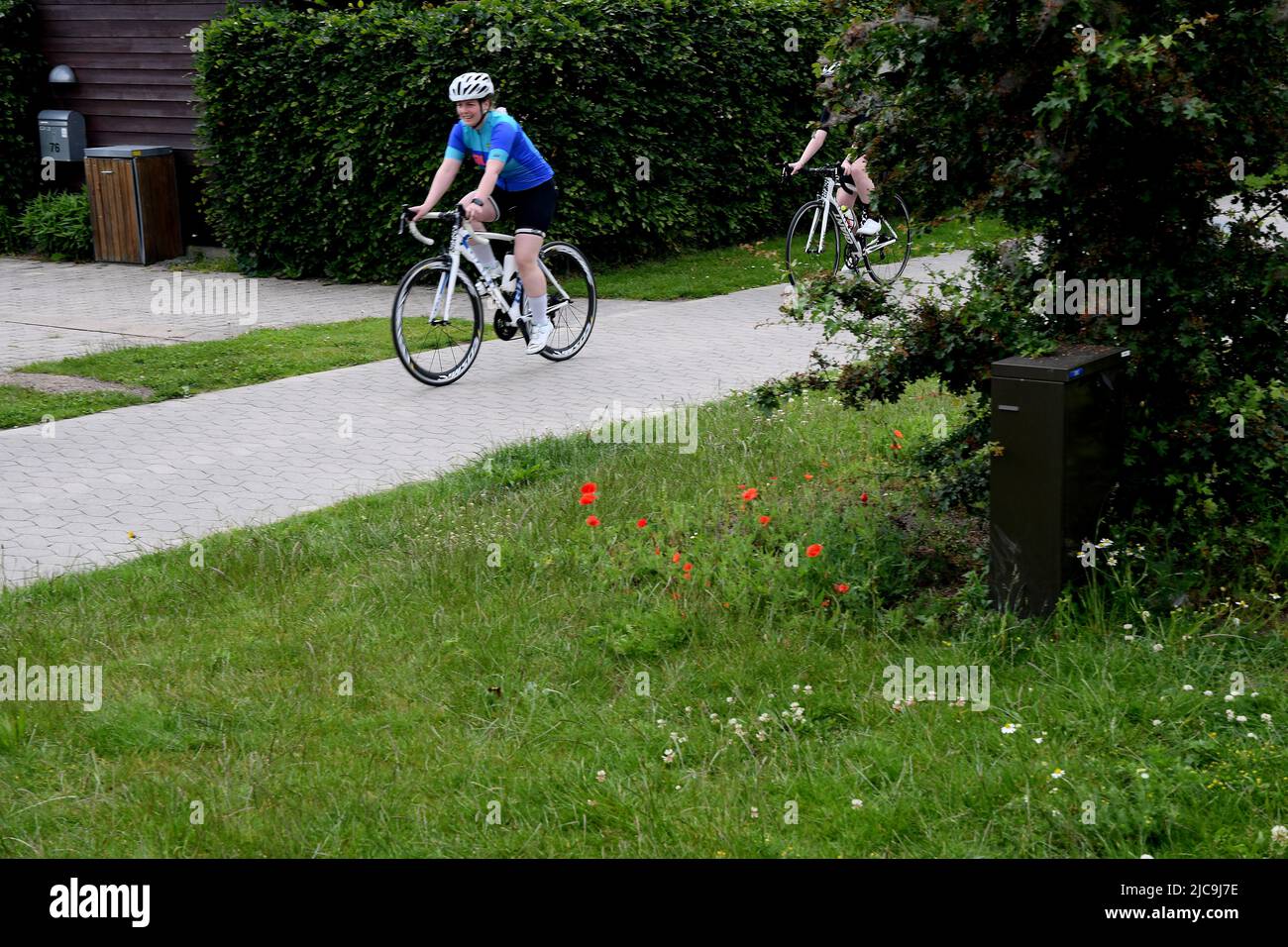 Dragor/Amager Island /Denmark/11 June 2022/Poppies flwers and bike ...