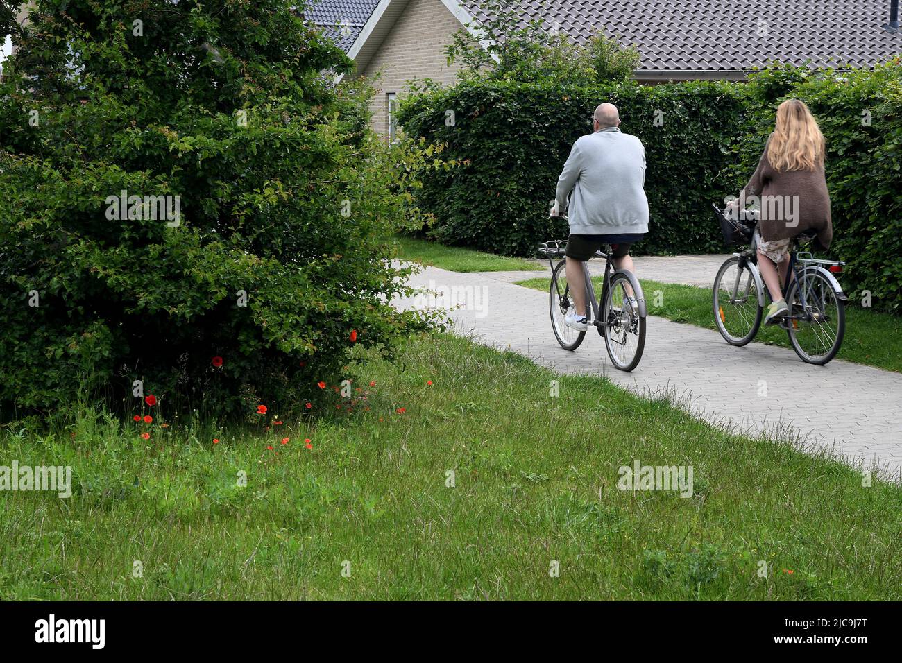 Dragor/Amager Island /Denmark/11 June 2022/Poppies flwers and bike ...