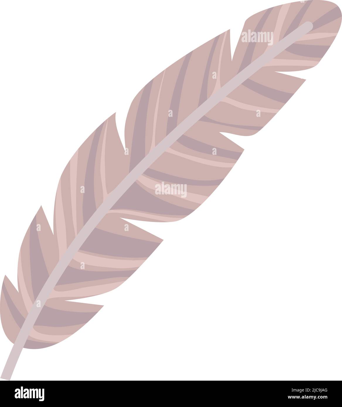 cute feather design Stock Vector Image & Art - Alamy