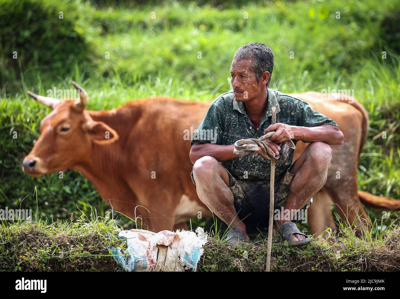 Kathmandu, Bagmati, Nepal. 11th June, 2022. A farmer rests during ...