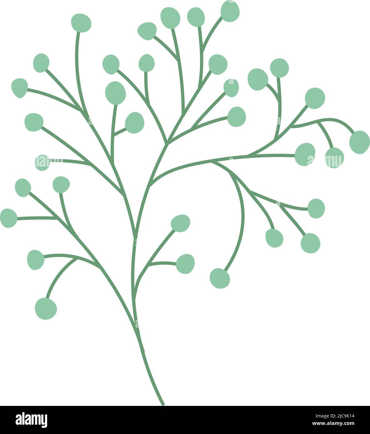 plant branch illustration Stock Vector Image & Art - Alamy