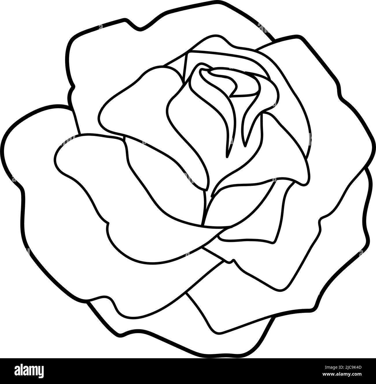 flower rose linear Stock Vector Image & Art - Alamy