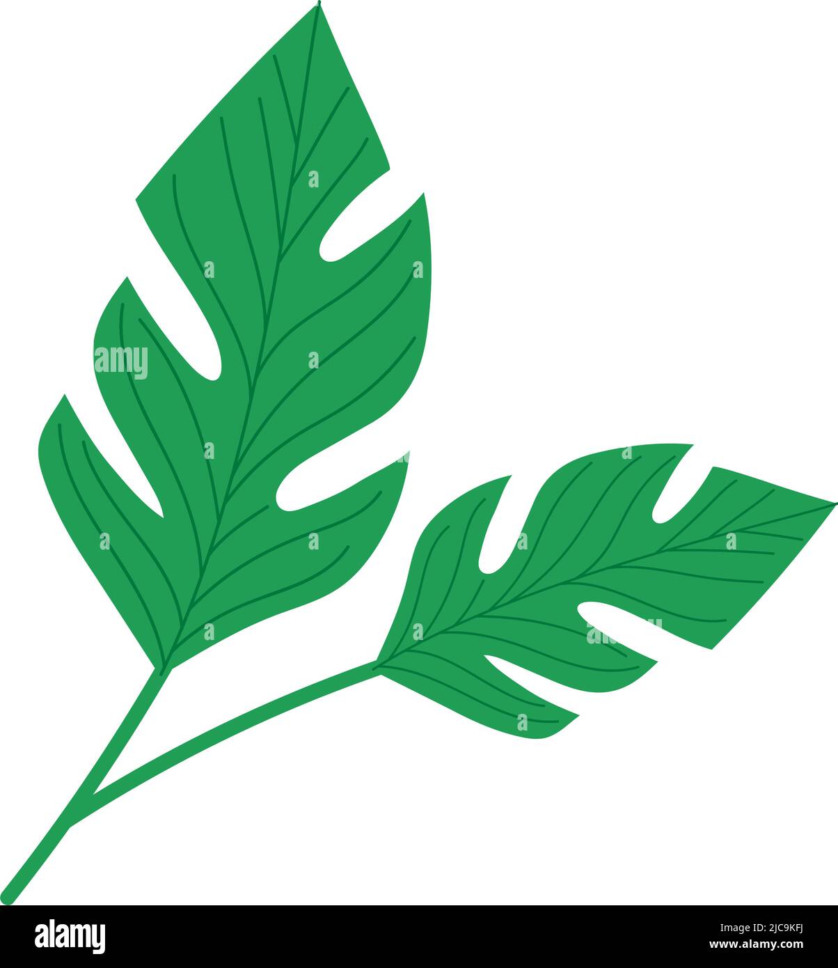 two leaf illustration Stock Vector Image & Art - Alamy