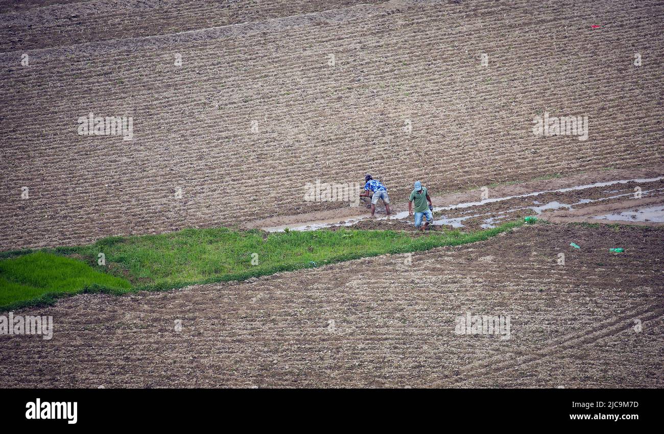 Kathmandu, Bagmati, Nepal. 11th June, 2022. Farmers work on a field in ...