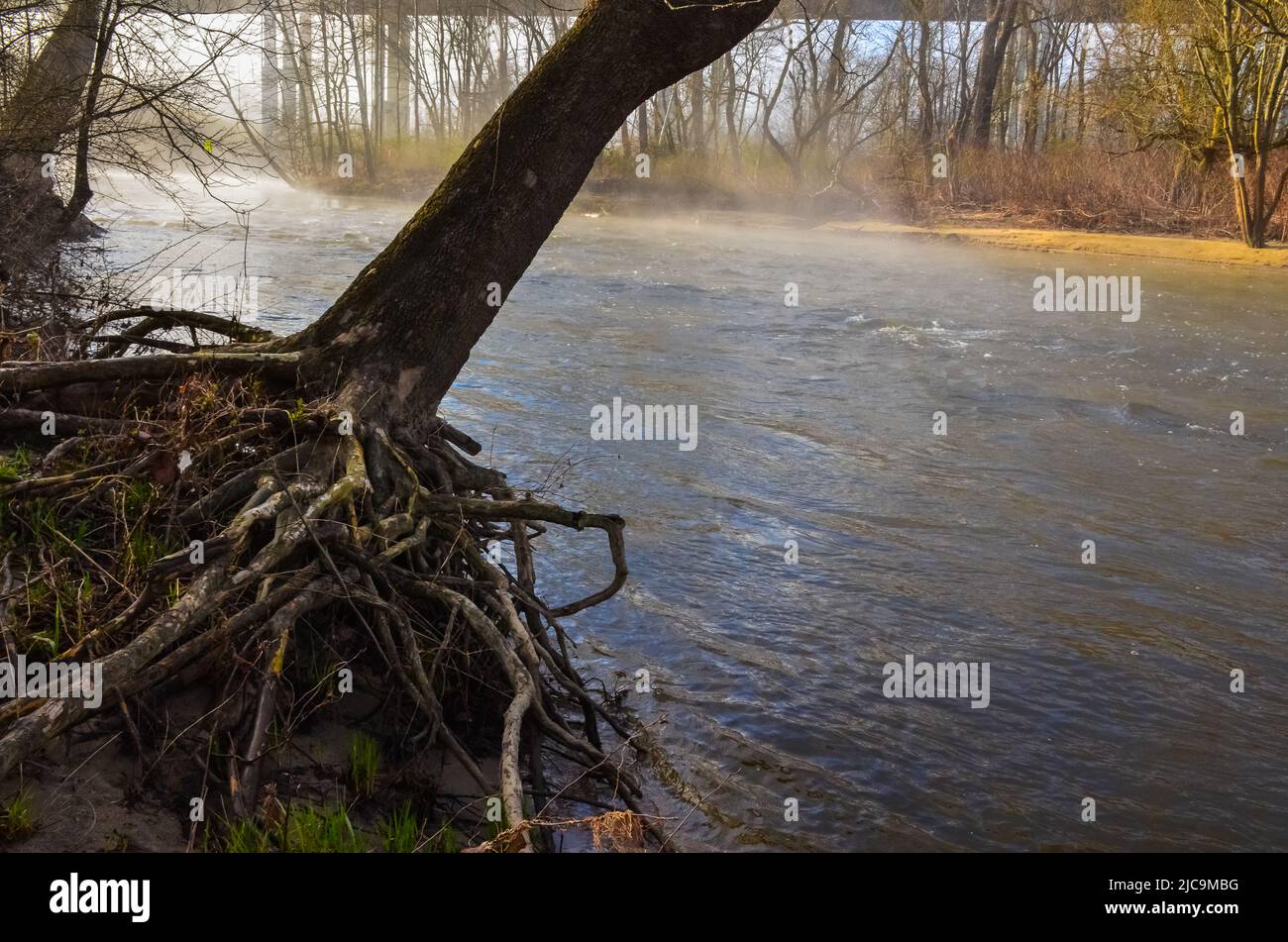 Fog over a river in a forest on a cold early morning, Ohio USA Stock ...
