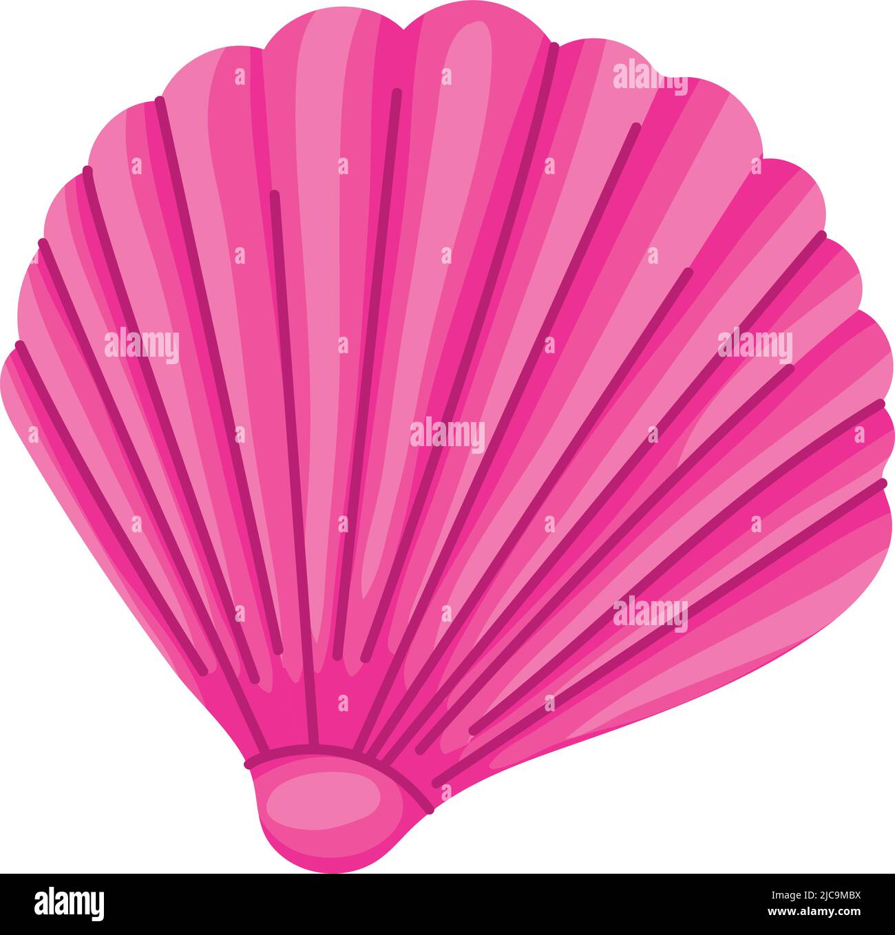 pink conch shell illustration Stock Vector Image & Art - Alamy