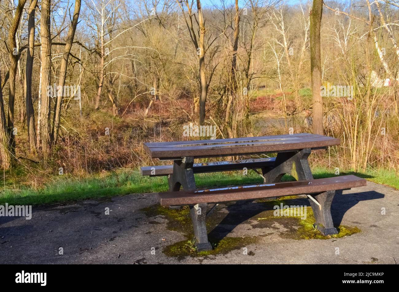 Wet Table and benches for relaxing in the forest after rain Stock Photo ...
