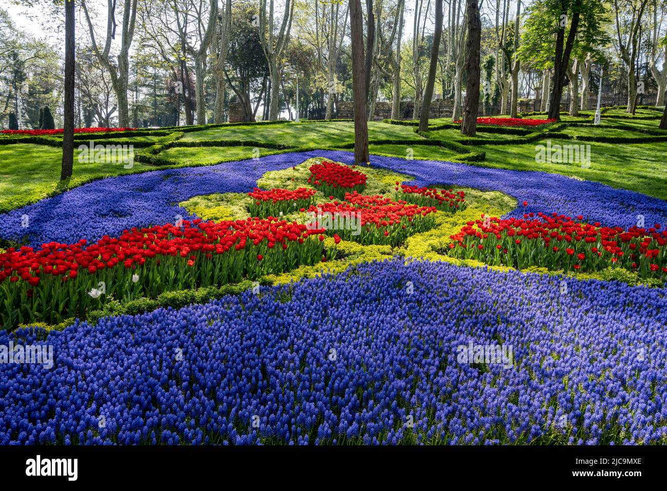 Colorful flowers in full bloom in the Gülhane Park, Istanbul, Türkiye ...