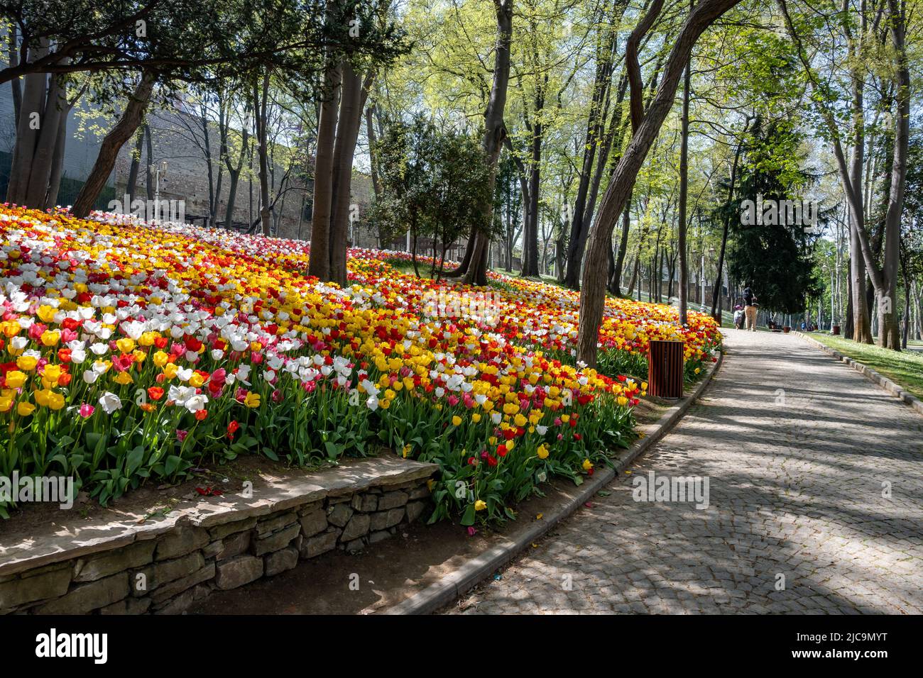 Istanbul tulips hi-res stock photography and images - Alamy