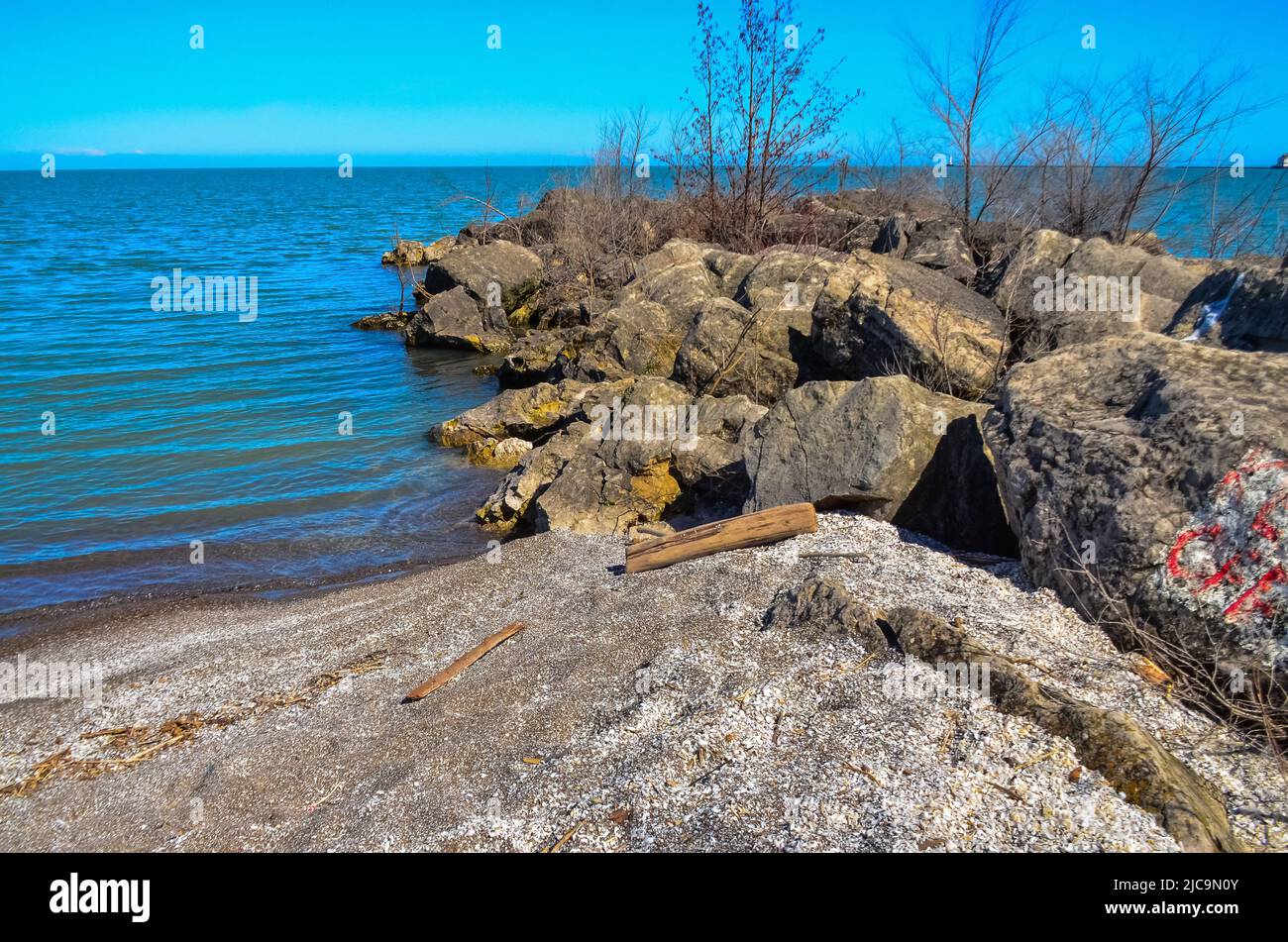 Shore with stones and small vegetation on the sandy beach of Lake Erie ...